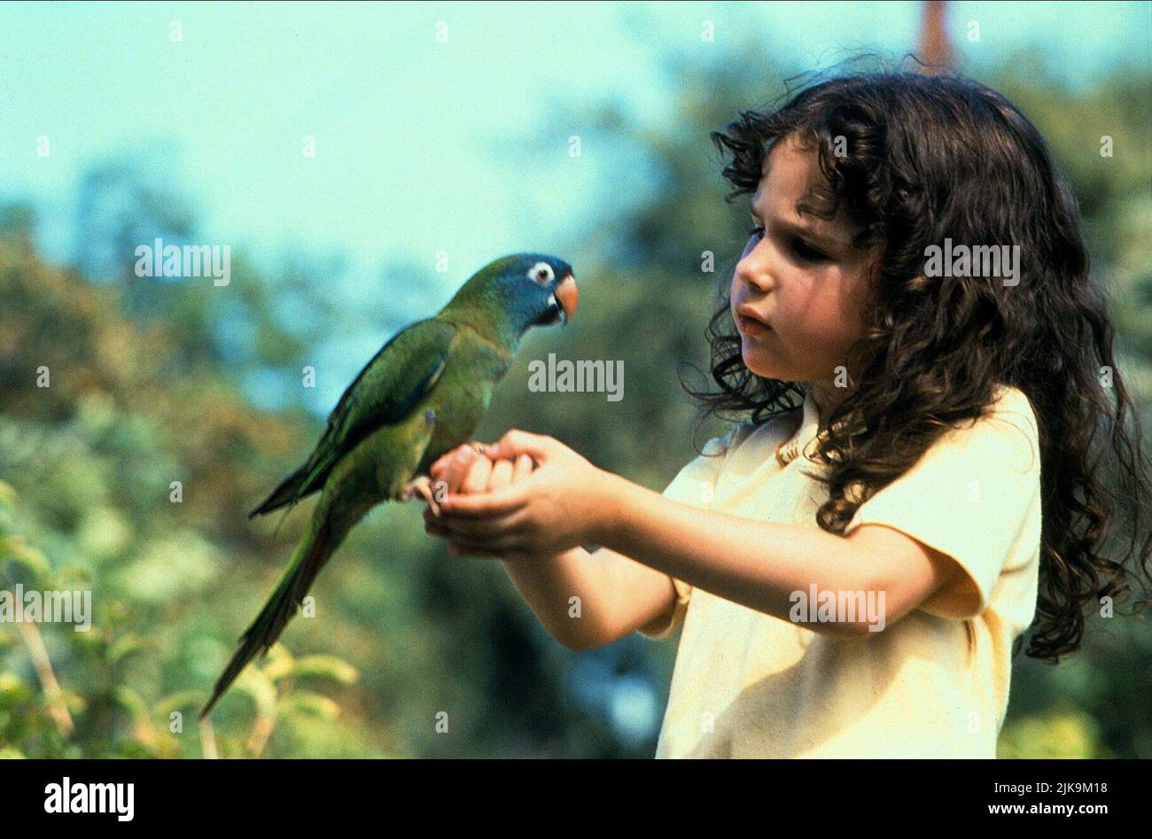 Polly Parrot Movie