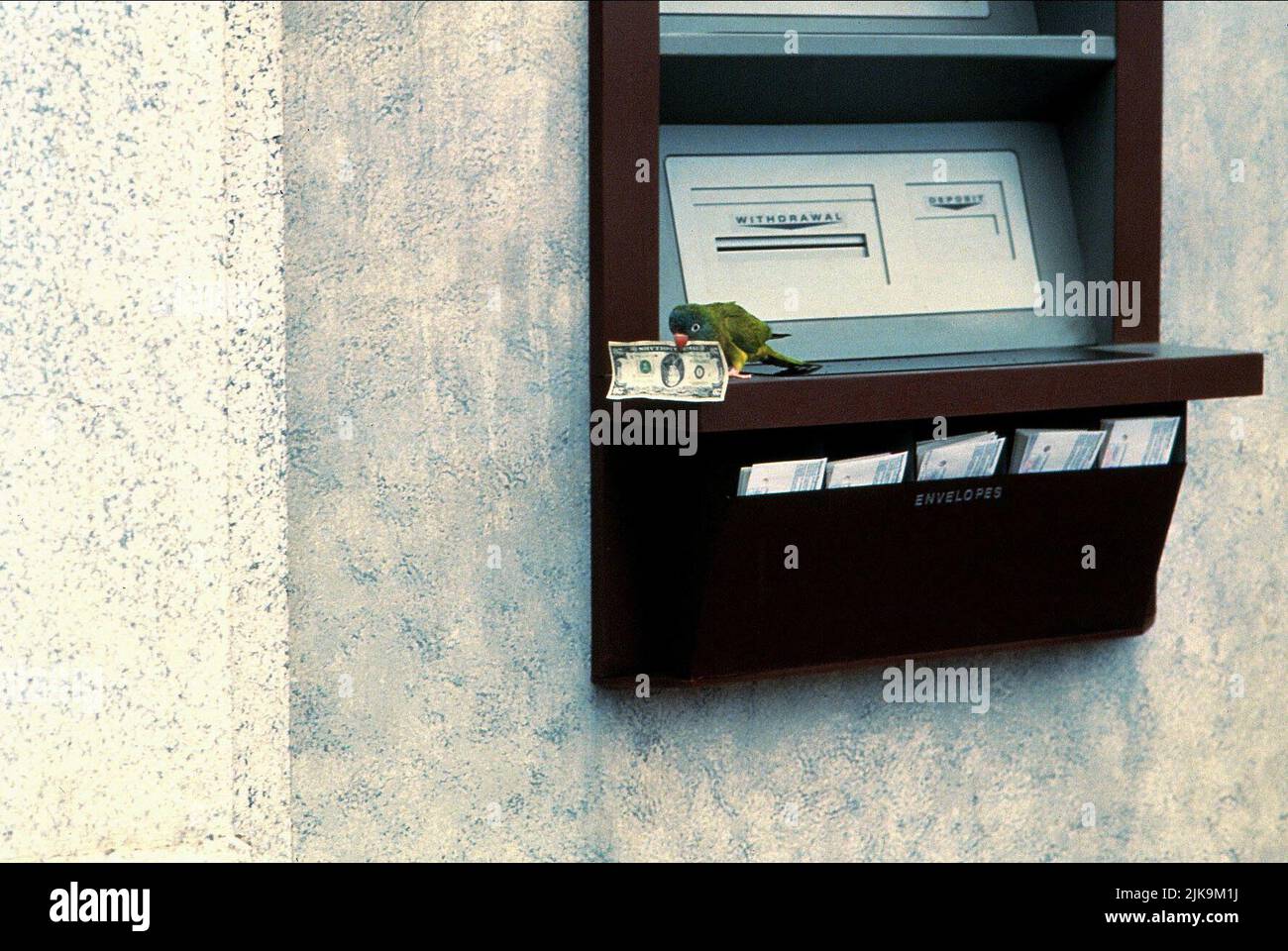 Paulie Film Paulie (1998) Director: John Roberts 17 April 1998 ...