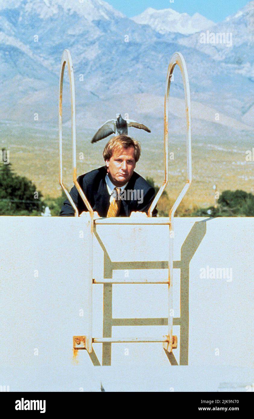 Jeff Daniels Film Trial And Error (1997) Characters: Charles 'Charlie ...