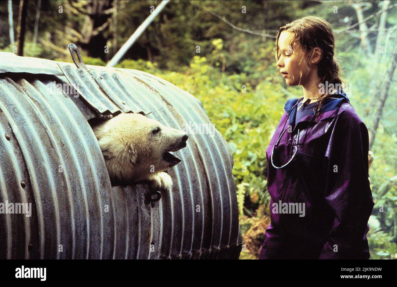 Fraser bear hi-res stock photography and images - Alamy