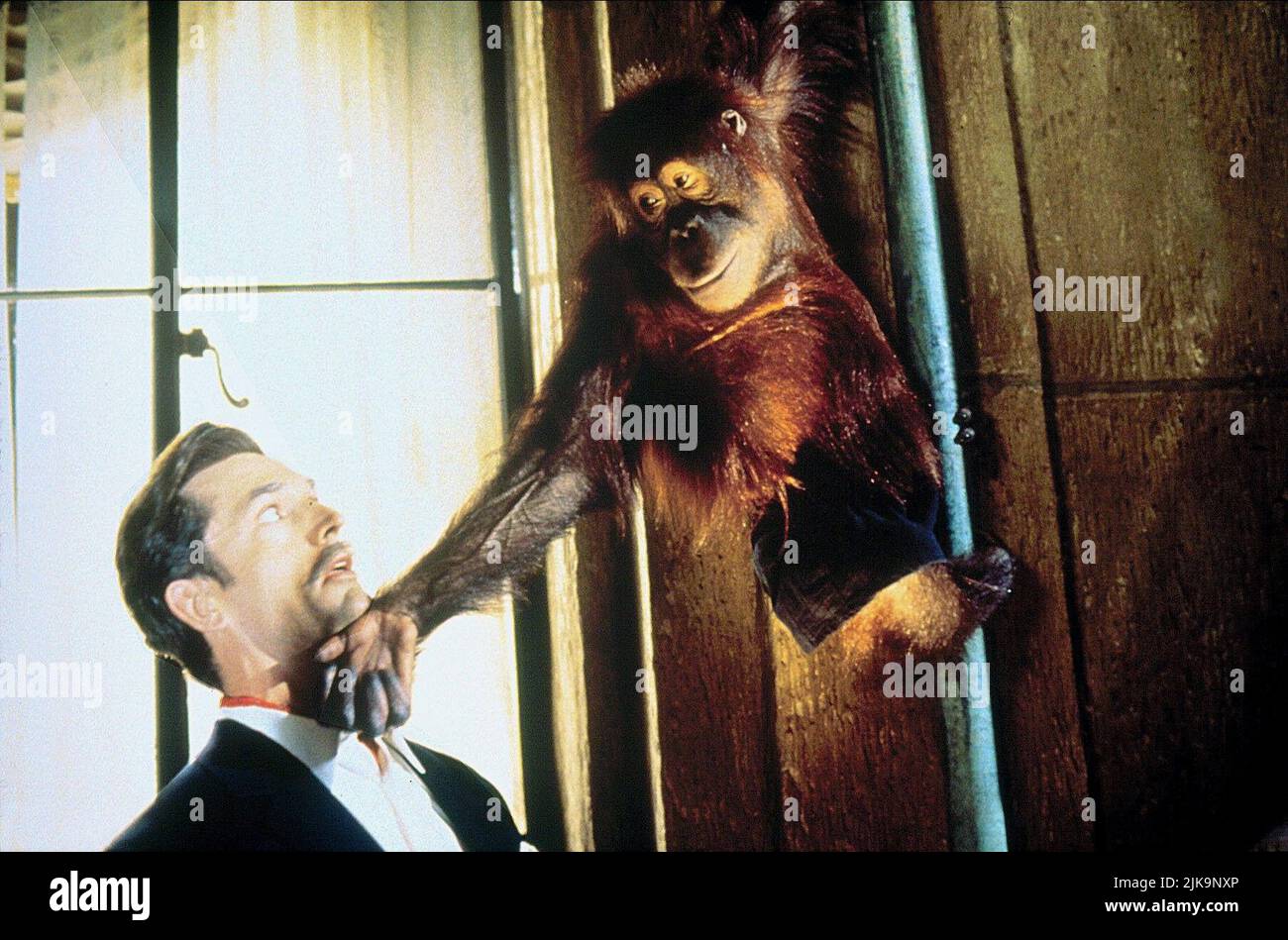 Rupert everett orangutan dunston in hi-res stock photography and images ...