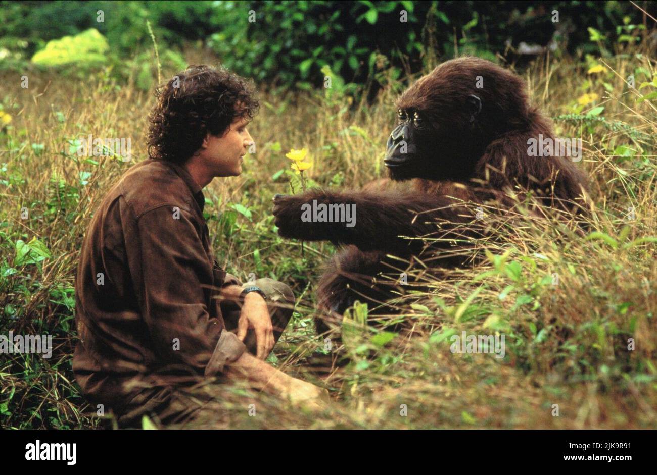 Dylan Walsh & Gorilla Film Congo (1995) Characters: Dr. Peter Elliot ...