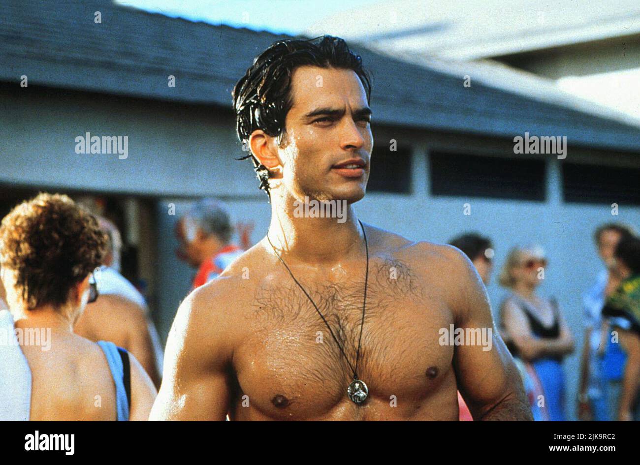 Johnathon Schaech Film How To Make An American Quilt (1995) Characters ...