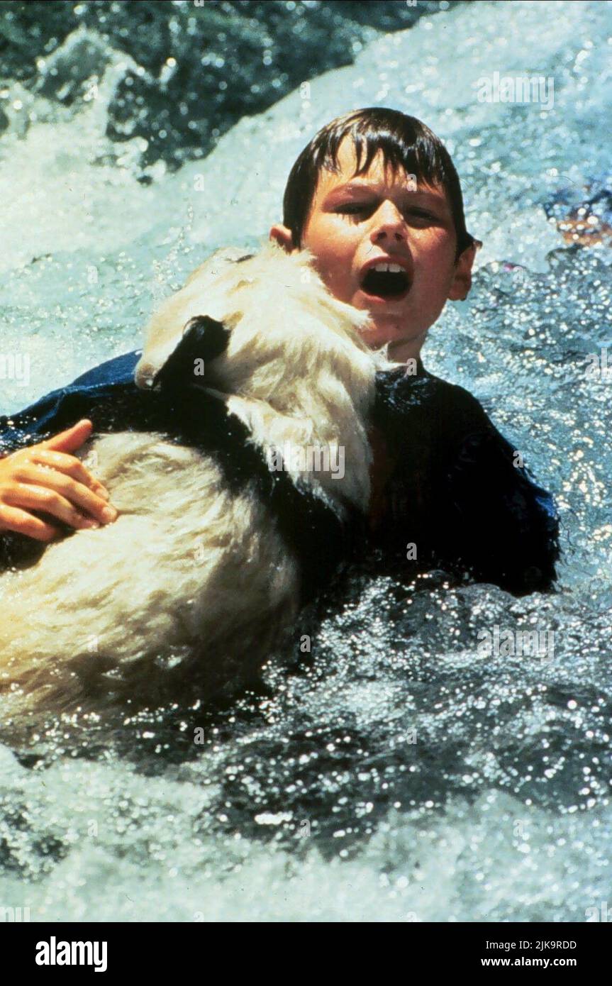 Ryan Slater & Panda Bear Film The Amazing Panda Adventure (1995 ...