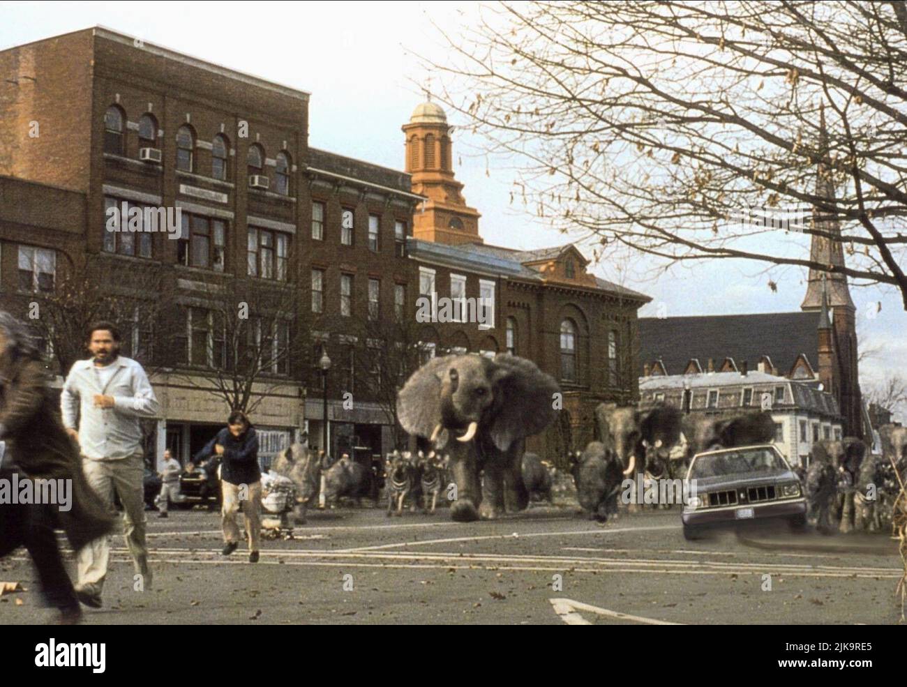 Animals Rampage In The Streets Film: Jumanji (USA 1995) Director: Joe ...