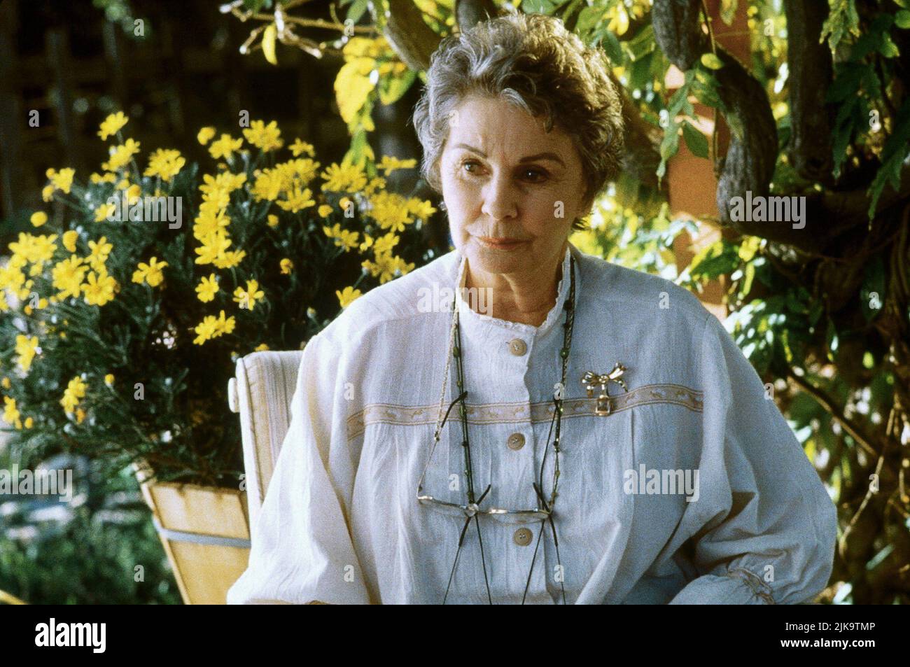 1995 movie jean simmons hi-res stock photography and images - Alamy