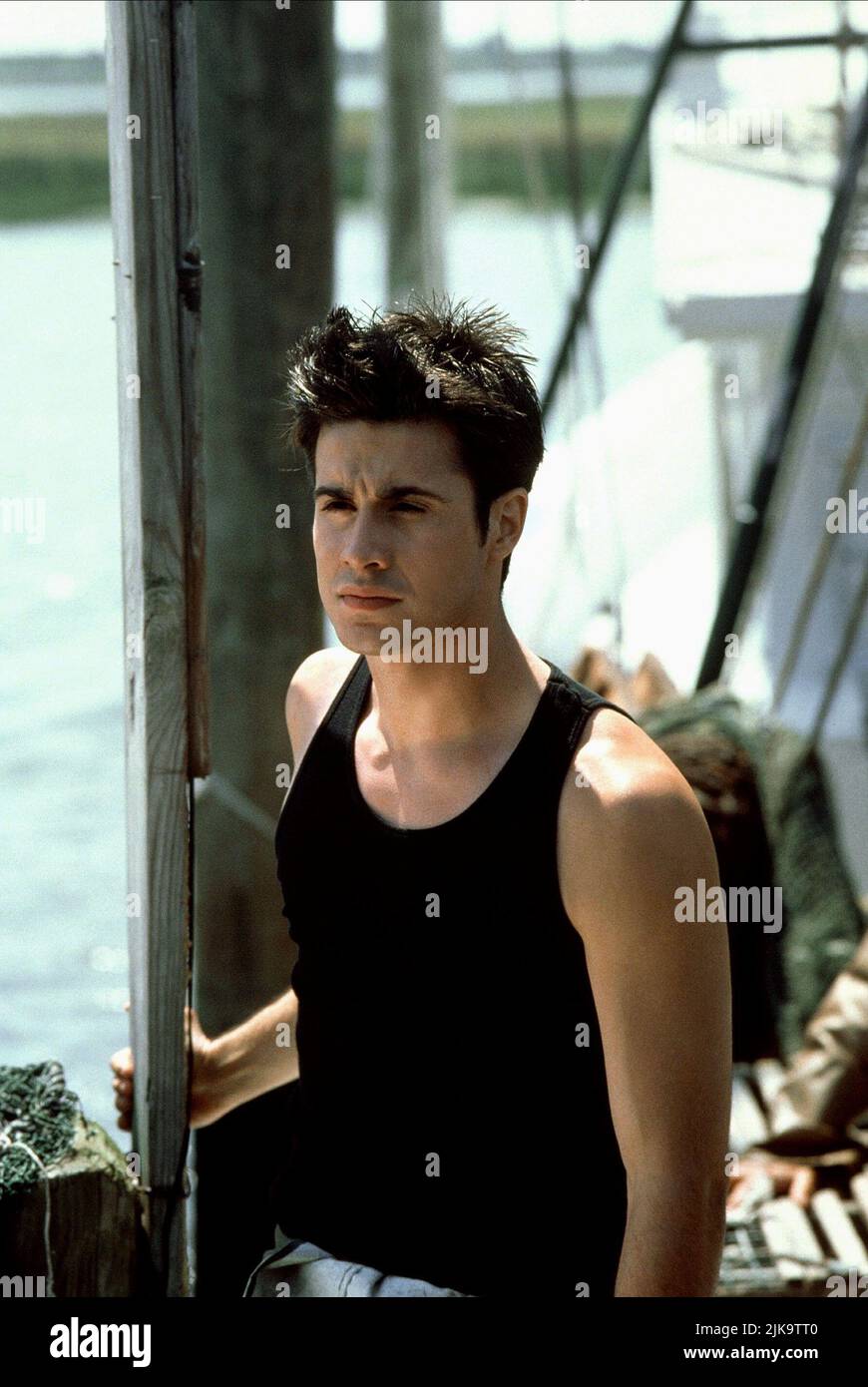 I Know What You Did Last Summer Ray