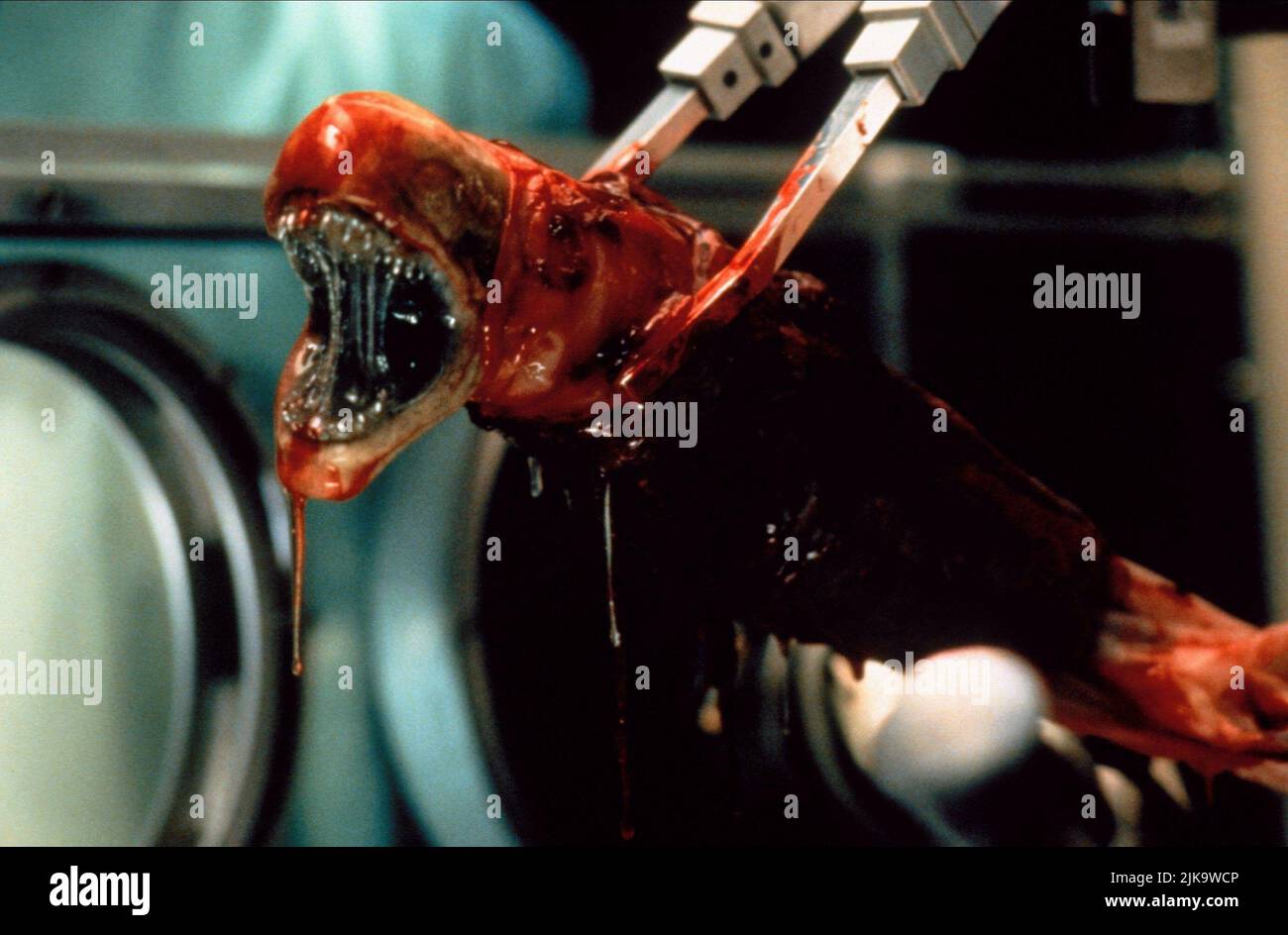 Alien Movie Stomach Scene