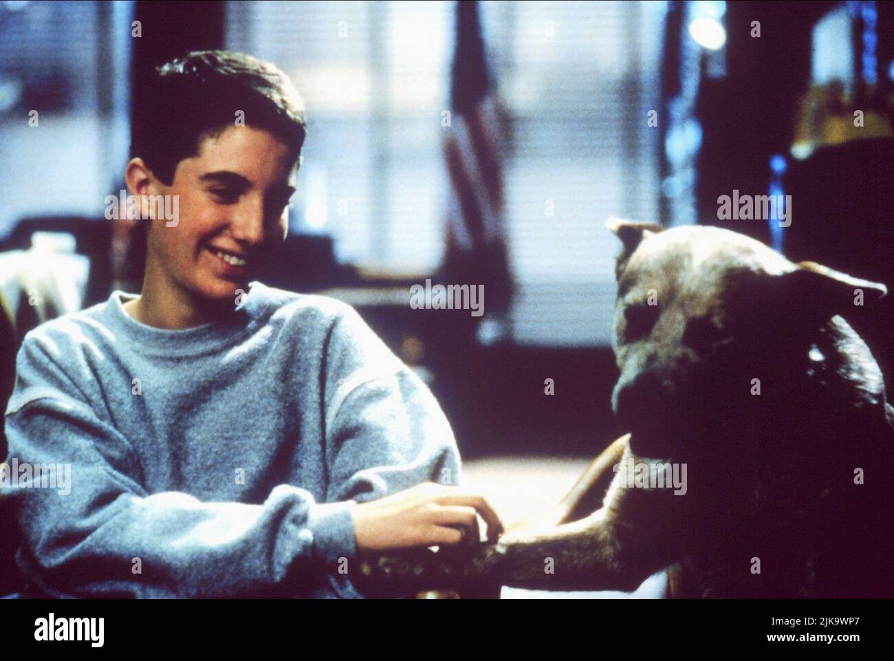 Jacob Tierney & Dog Film Rainbow; (1995) Characters: Steven Bailey ...