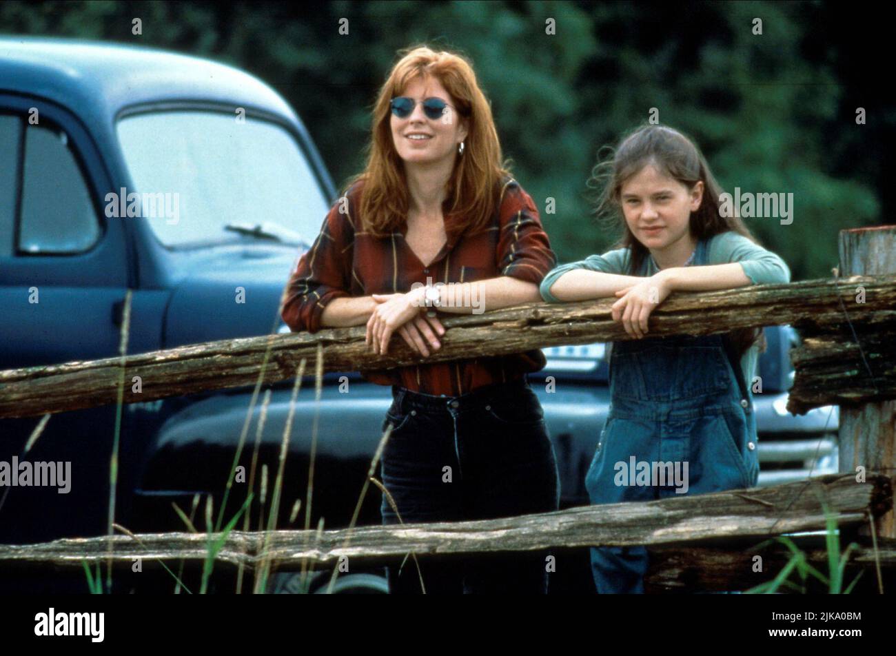 Dana delany fly away home hi-res stock photography and images - Alamy
