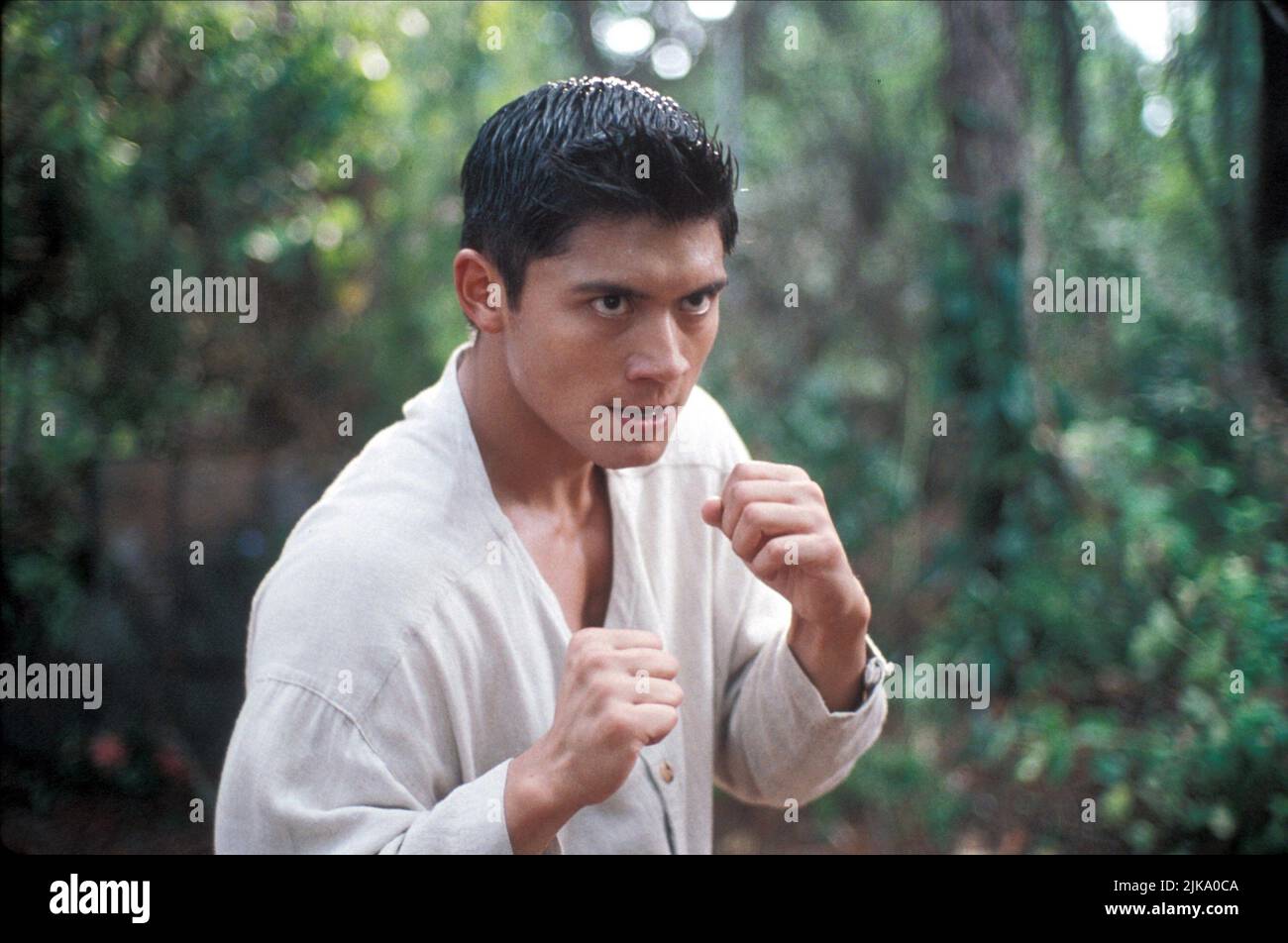 Paolo montalban mortal kombat hi-res stock photography and images - Alamy