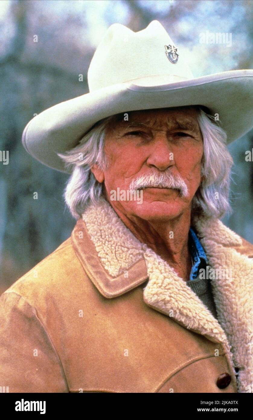 L.Q. Jones Film The Patriot (USA 1998) Characters: Frank Director: Dean ...