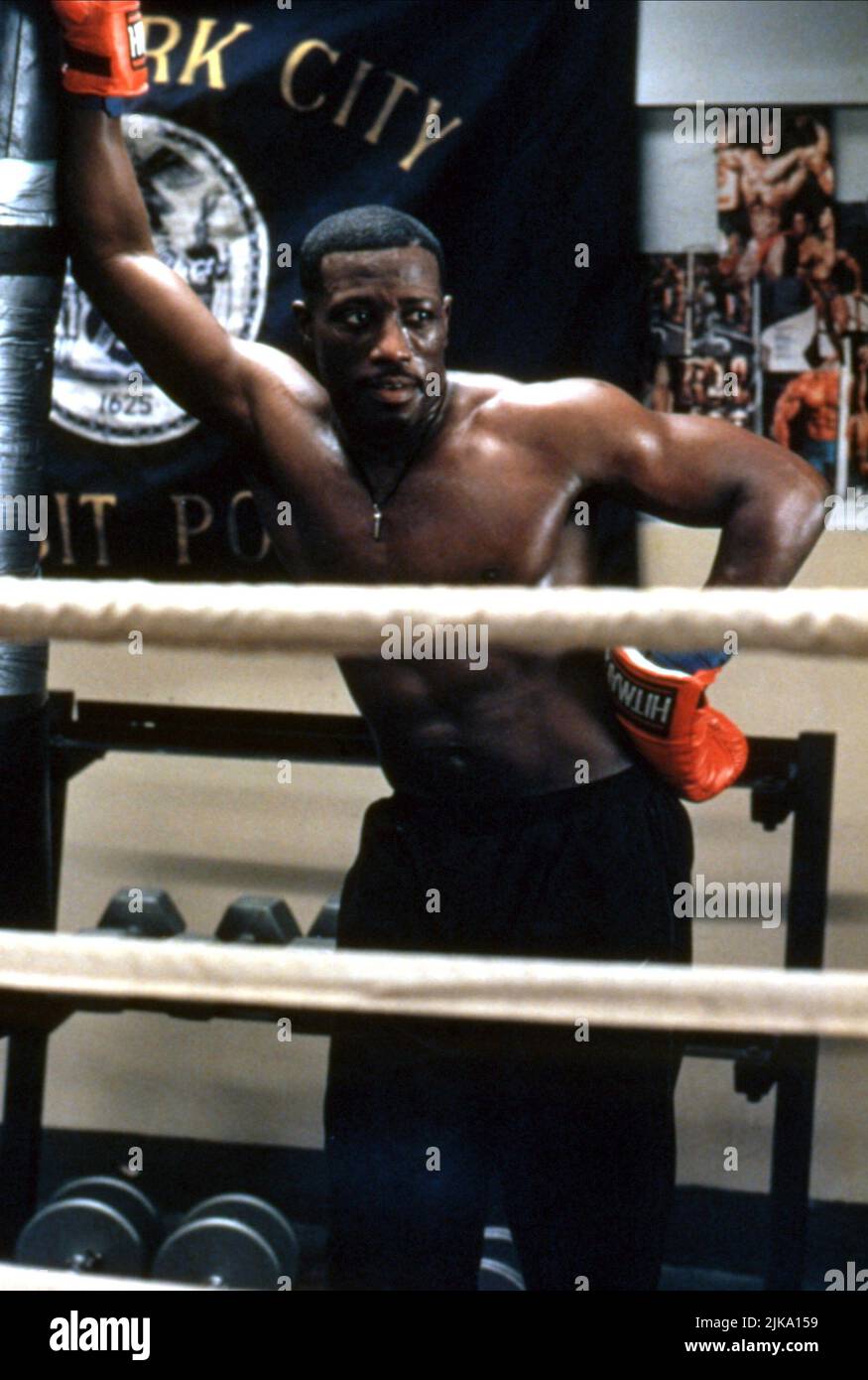 Wesley Snipes Boxing