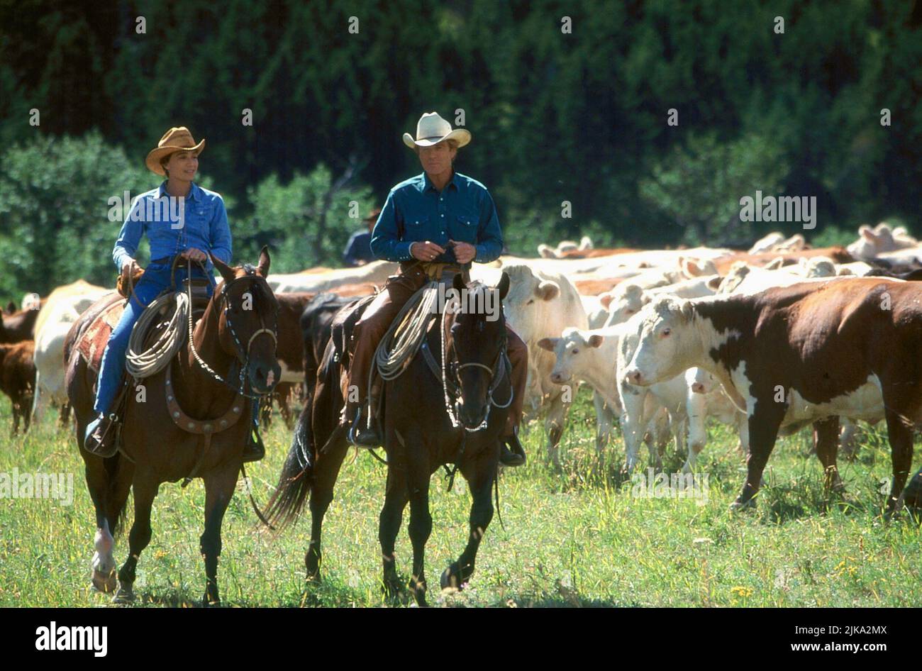 Kristin Scott Thomas & Robert Redford Film: The Horse Whisperer (USA ...