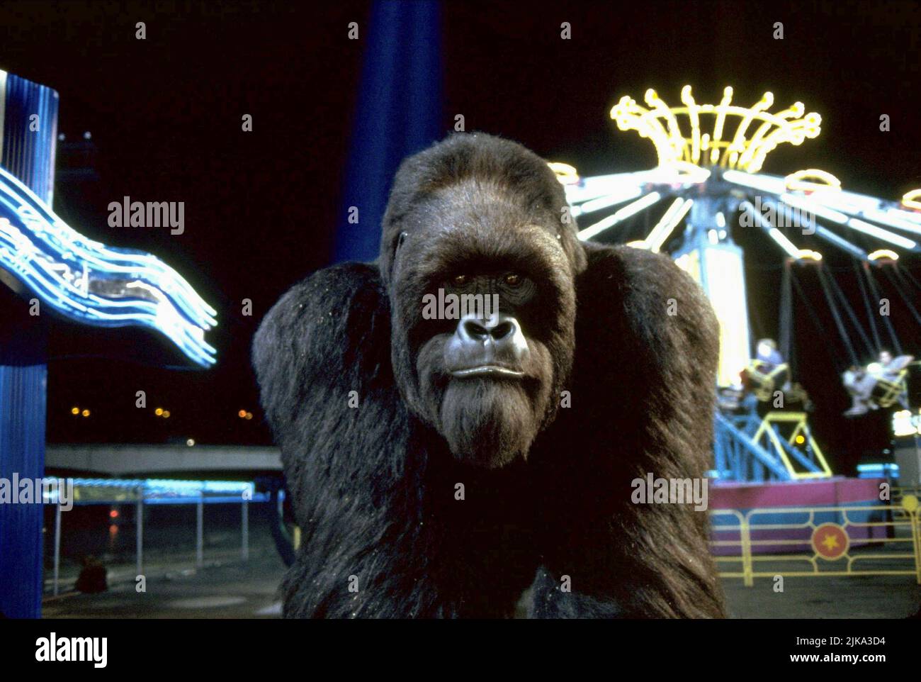 The Gorilla Film Mighty Joe Young (USA 1998) Director: Ron Underwood 25 ...