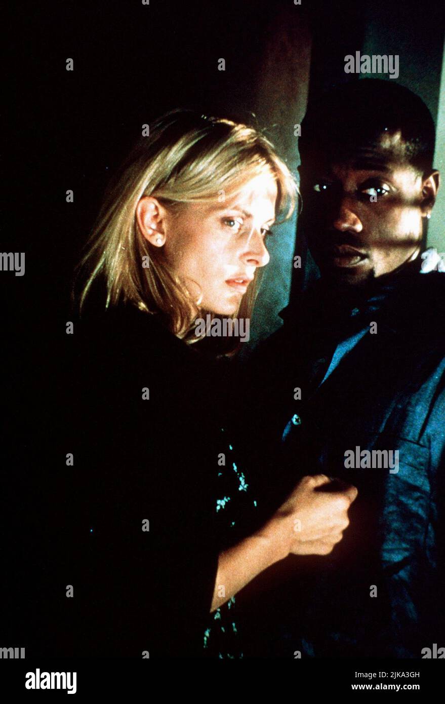 Nastassja Kinski & Wesley Snipes Film One Night Stand (1997) Characters ...