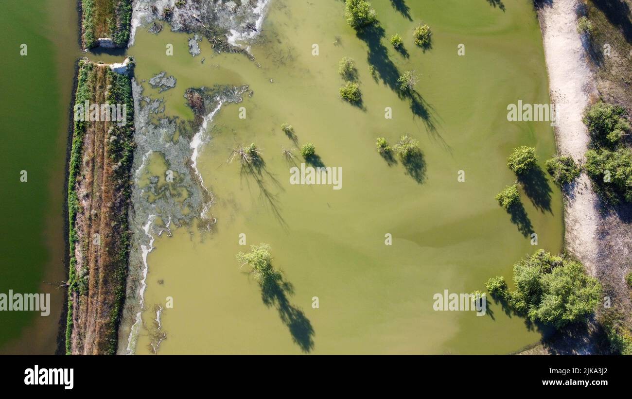 Road through a swamp Ukraine, Ukrainian landscape, photo from a drone ...