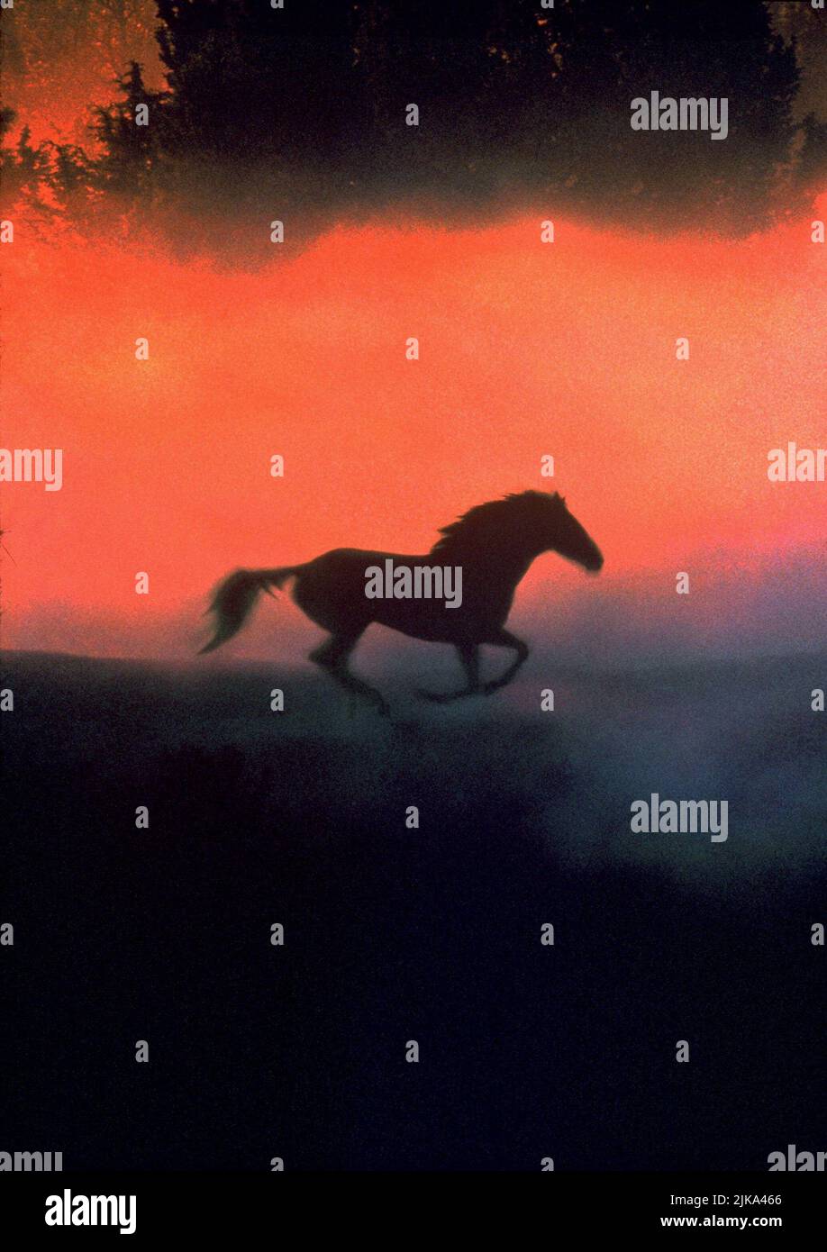 Horse Running In Sunset Film The Horse Whisperer (USA 1998) Director ...