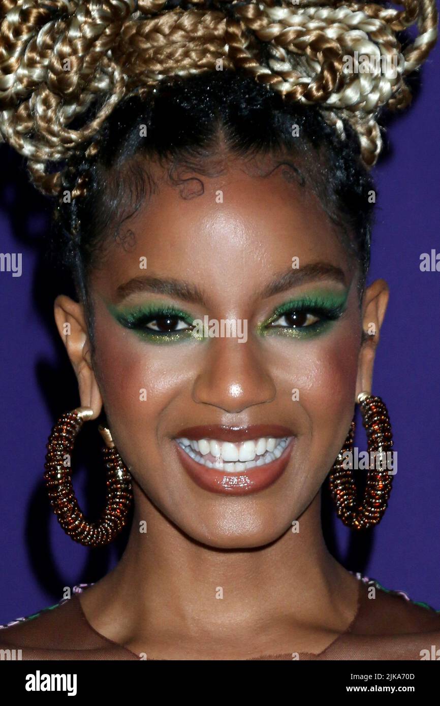 LOS ANGELES - JUL 31: Ebonee Davis at the Heirs of Afrika 5th Annual ...