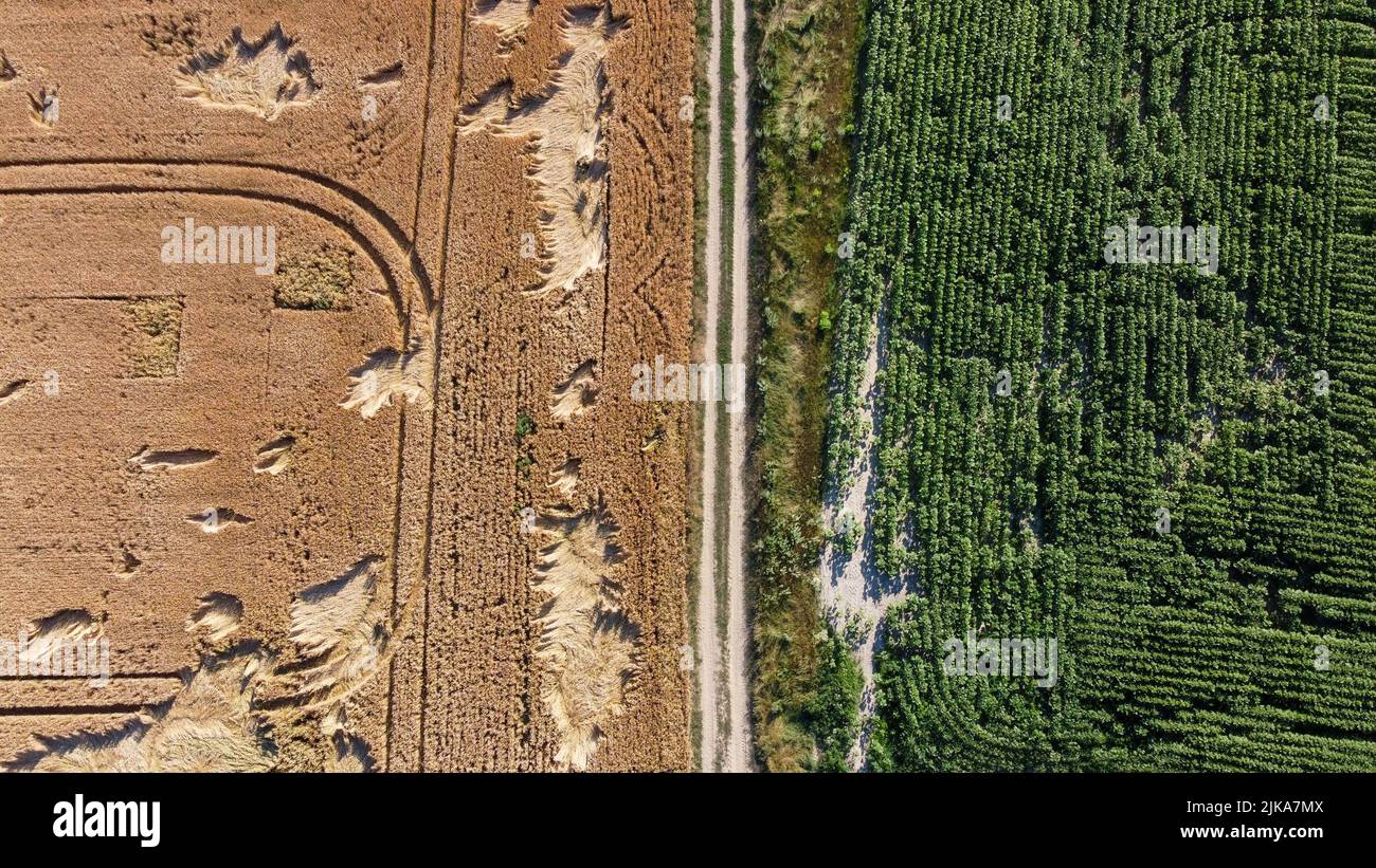 fields with harvest ukraine filming from a drone Stock Photo - Alamy