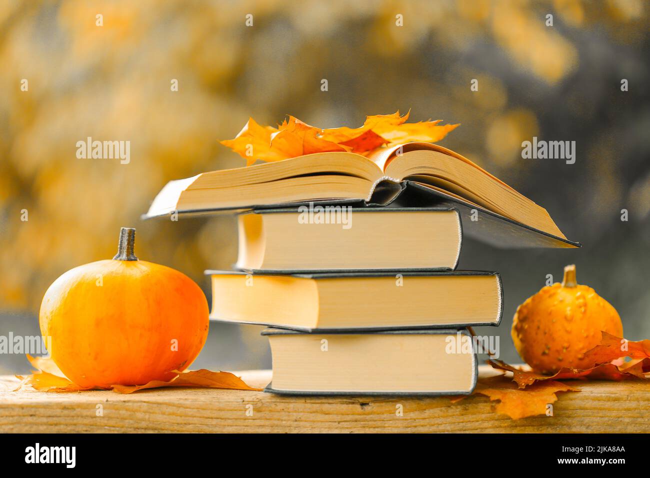 School books hi-res stock photography and images - Alamy