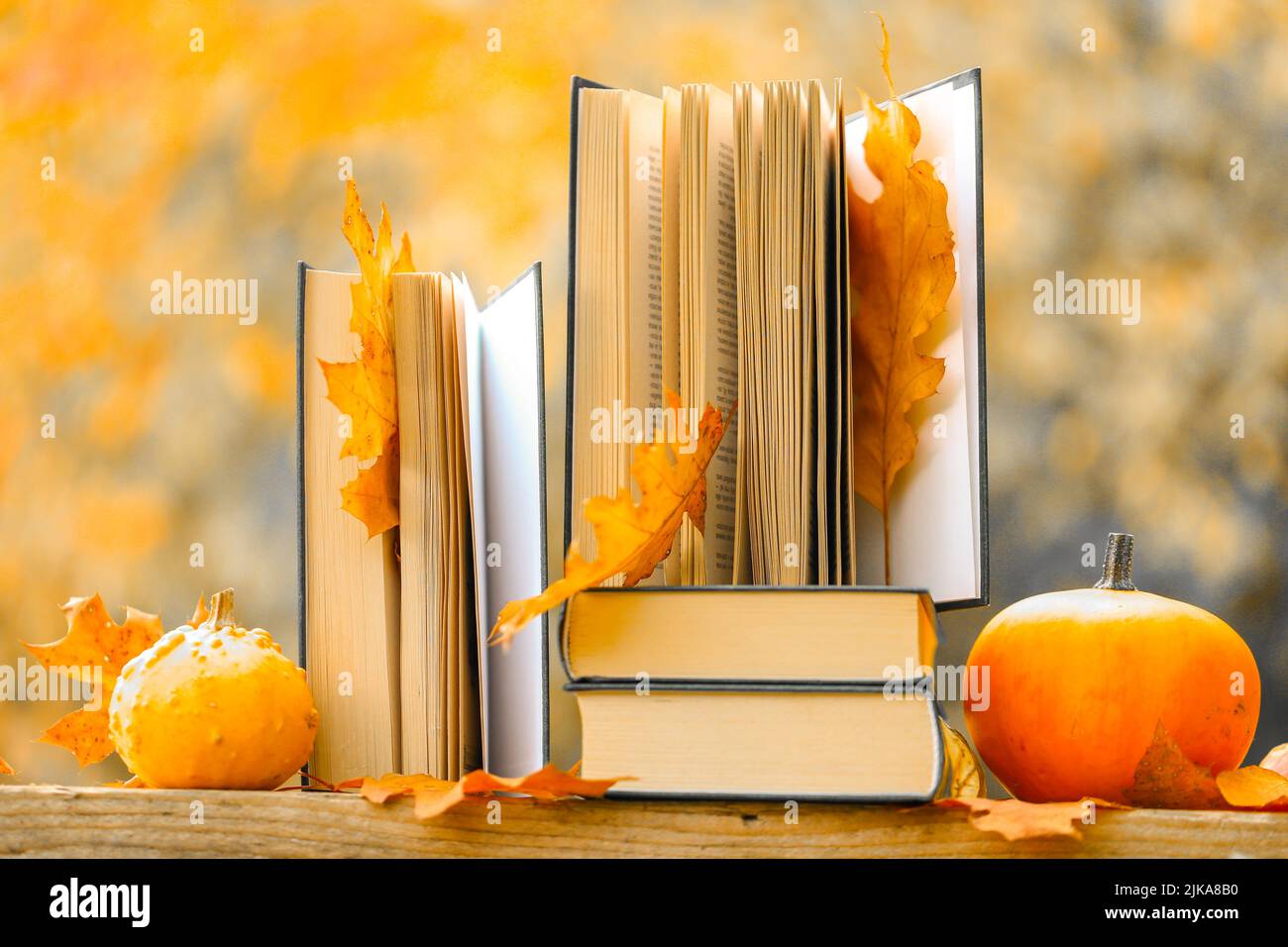 Books on the autumn and Halloween Books theme.Back to school.Autumn ...