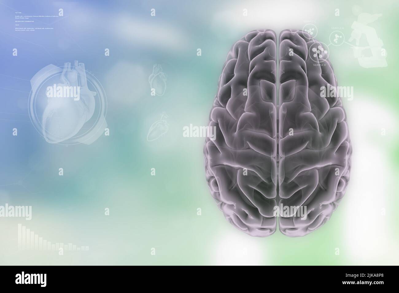 Medical 3D illustration - human brain, neurology analysis concept ...