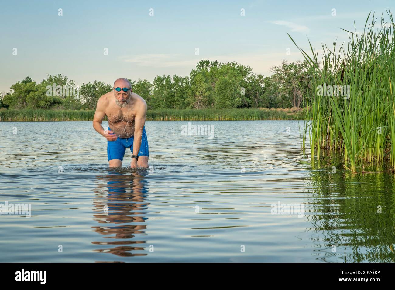 athletic, overweight senior male swimmer is splashing himself in a lake ...