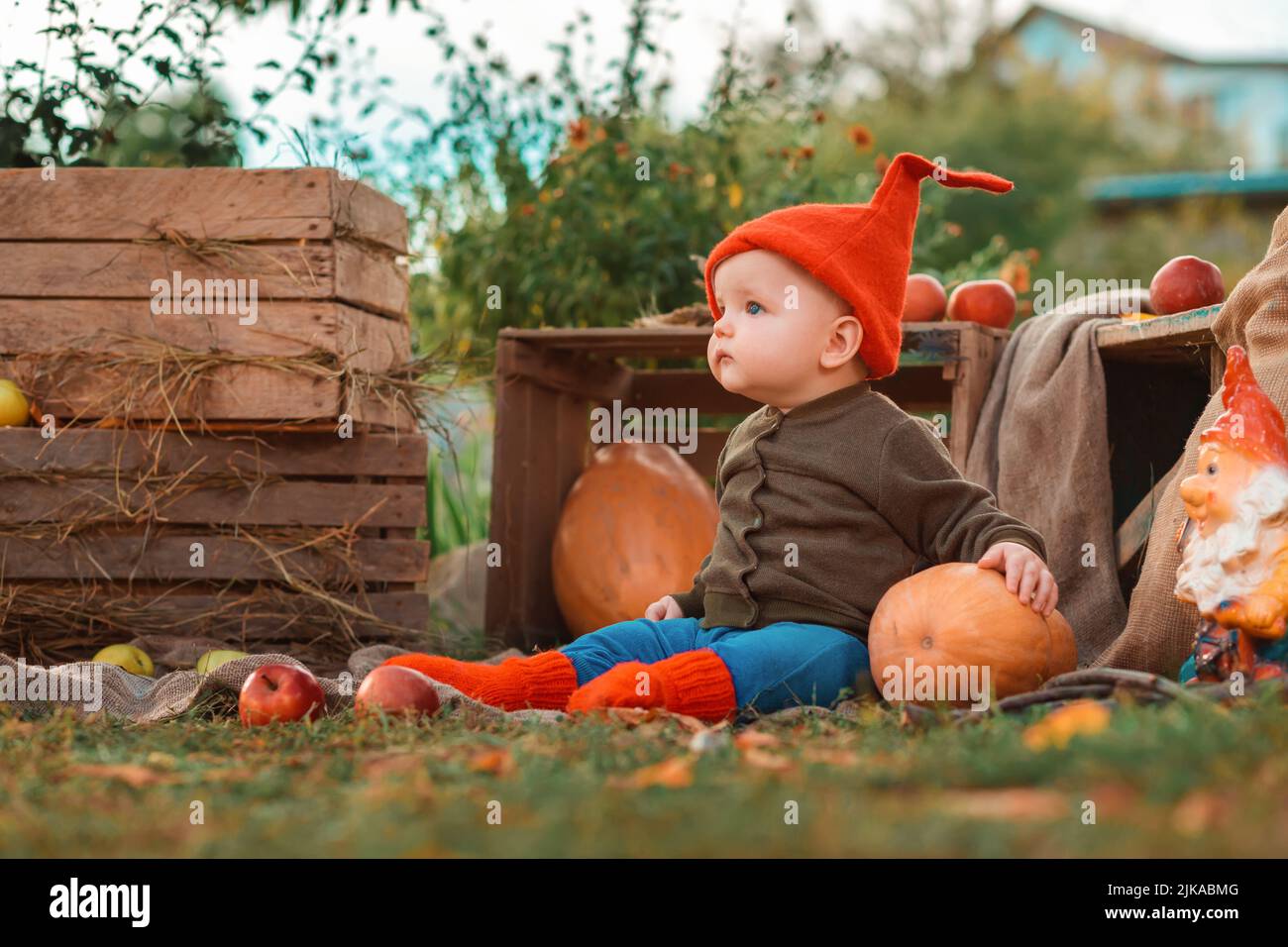 Cute baby boy in costume of dwarf sitting in kitchen-garden with ...