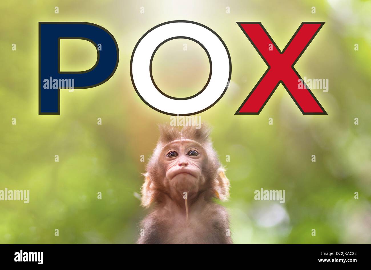 A new outbreak of viral infection in France, monkey pox. Little monkey ...