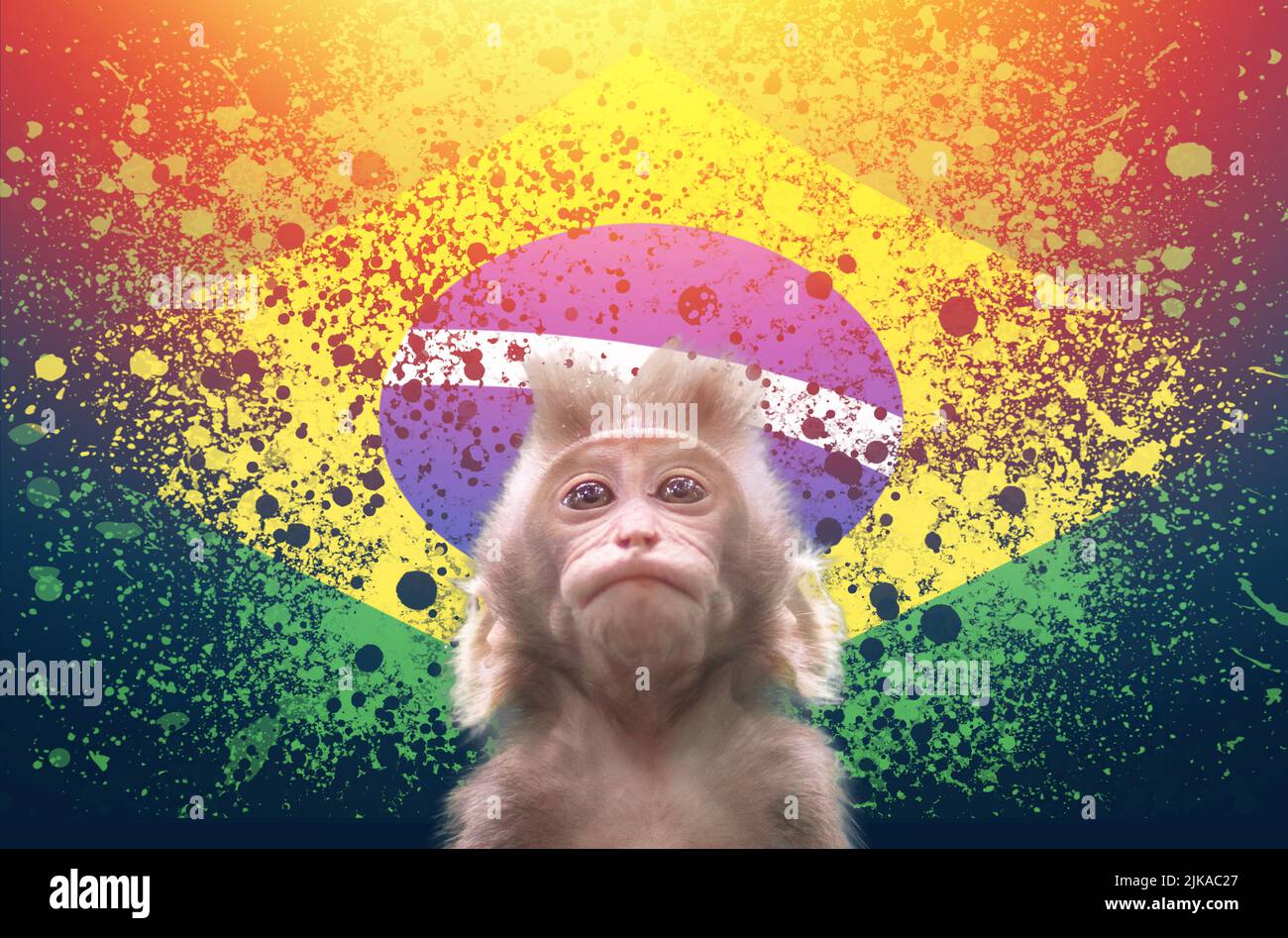 A new outbreak of viral infection at Brasil, monkey pox. Small monkey ...