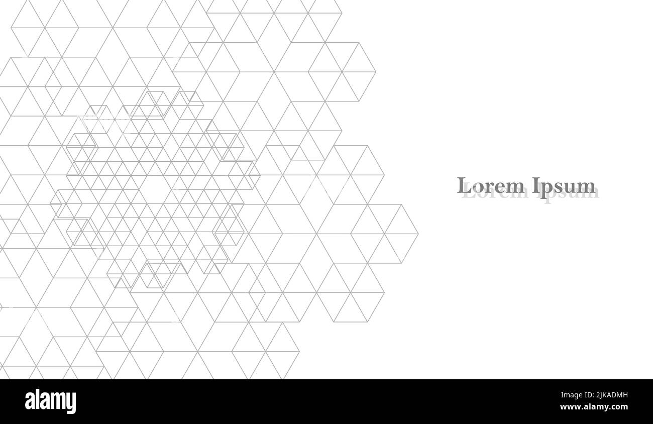 abstract gray white hexagon, network image, geometric texture ...