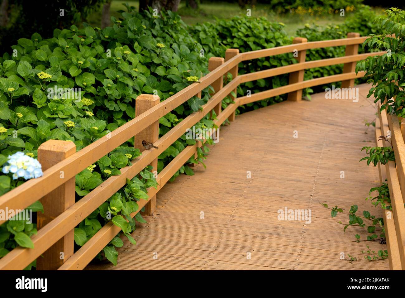 Honinji pond, jeju hi-res stock photography and images - Alamy
