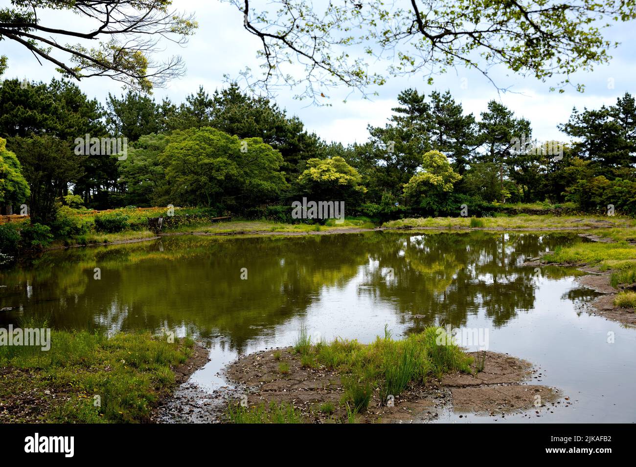 Honinji pond, jeju hi-res stock photography and images - Alamy