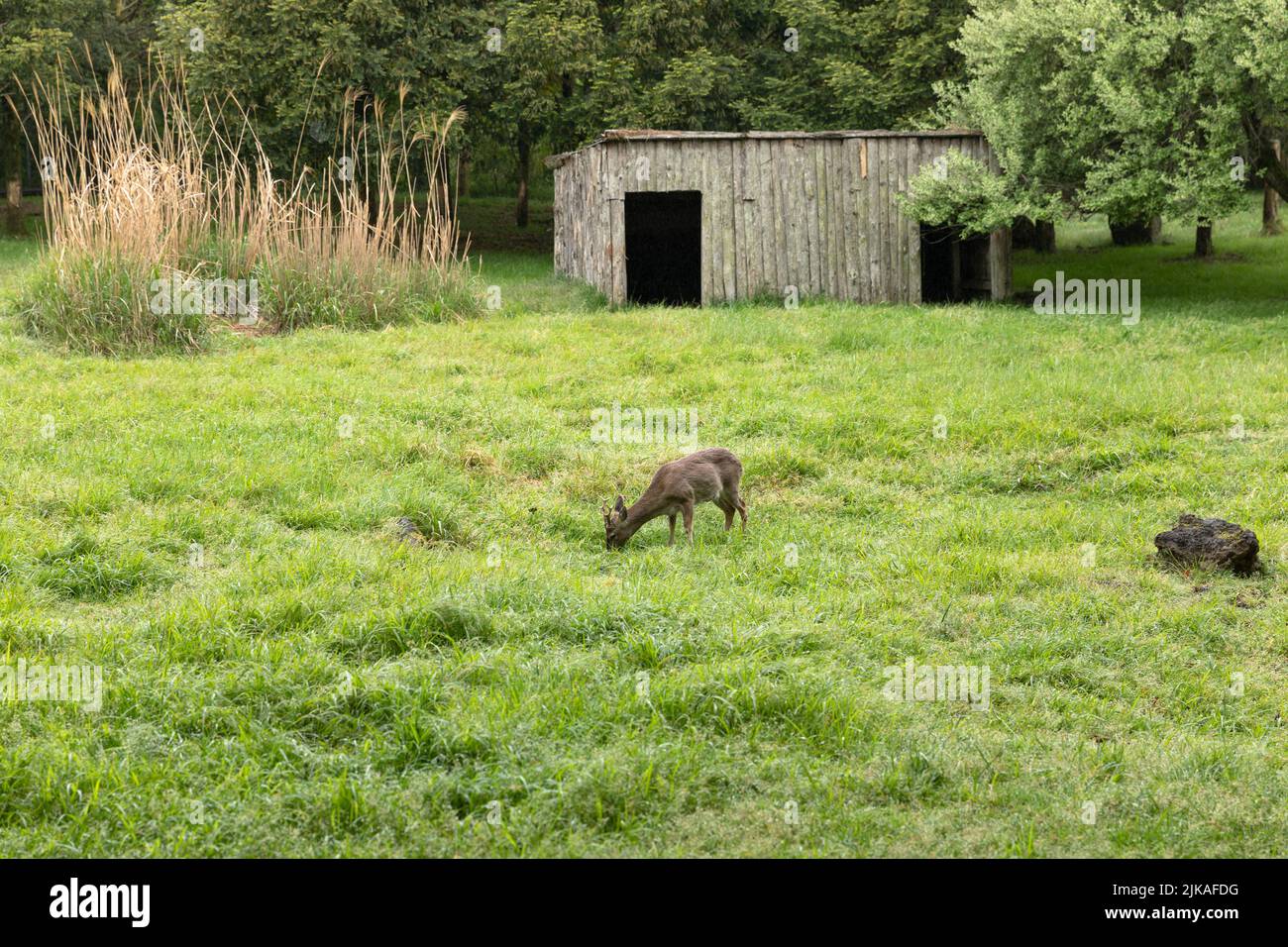 Jejudo tour hi-res stock photography and images - Alamy