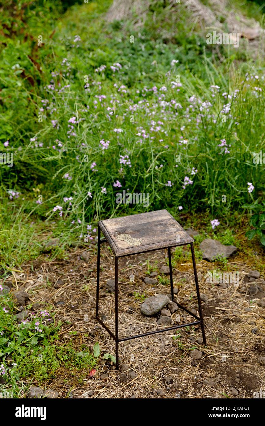 Jejudo tour hi-res stock photography and images - Alamy