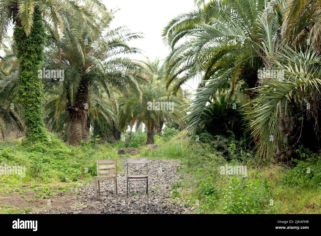 Jejudo tour hi-res stock photography and images - Alamy