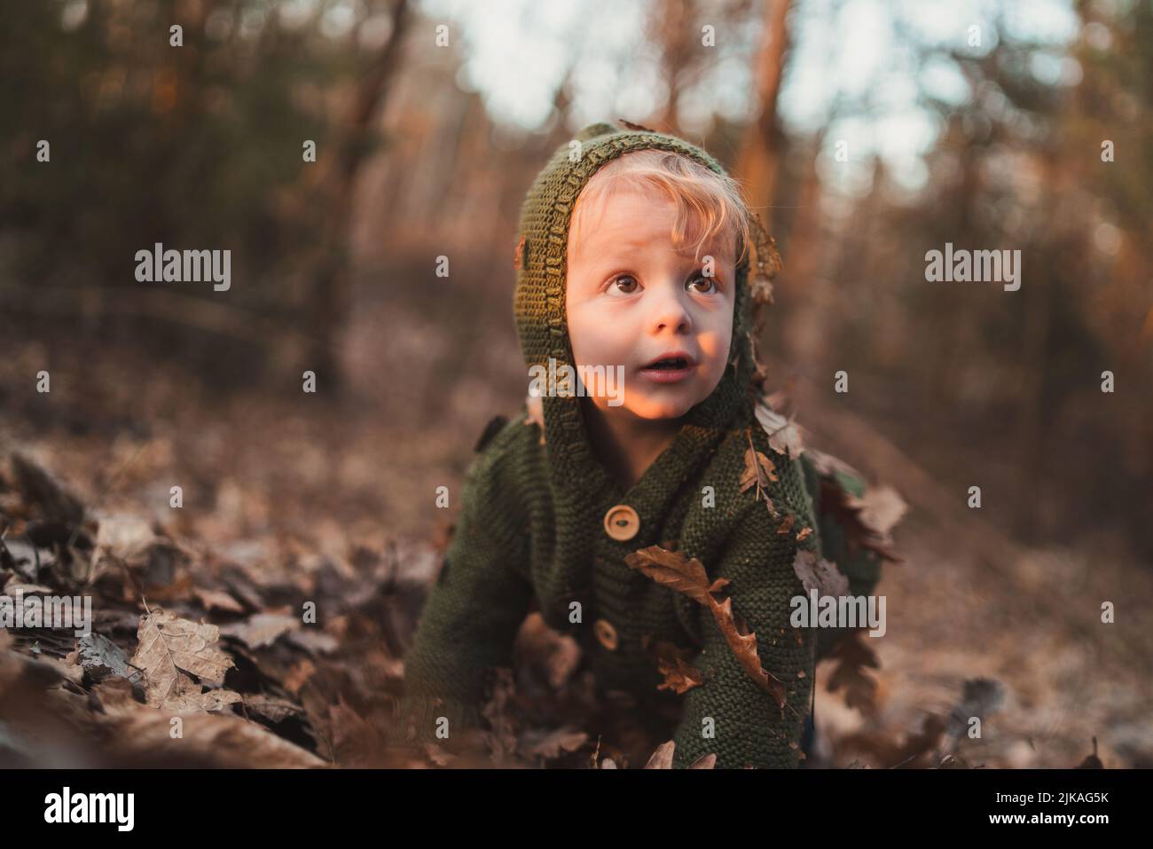 Little curious boy on walk in nature Stock Photo - Alamy