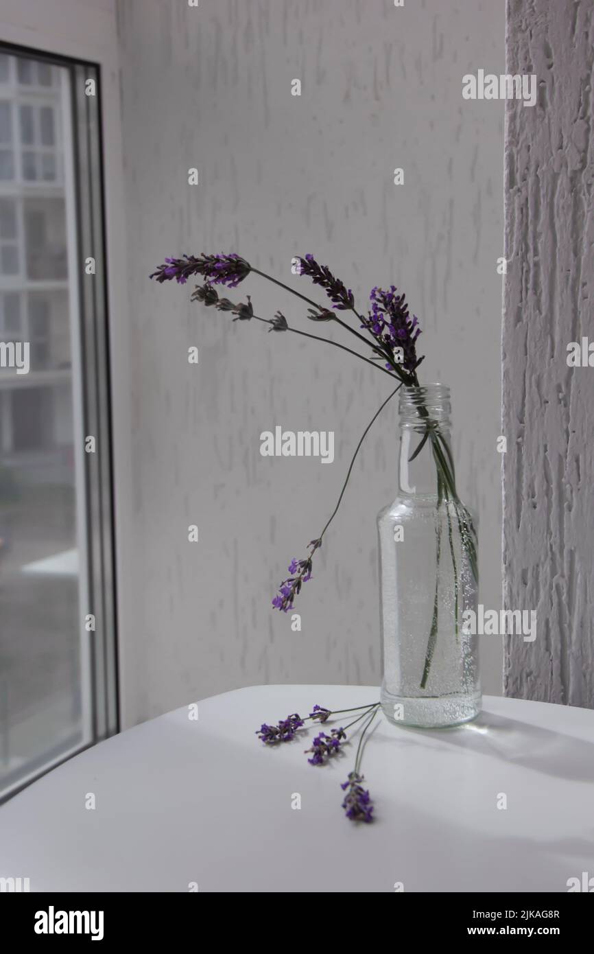 Lavender flowers in a glass container and a window Stock Photo - Alamy