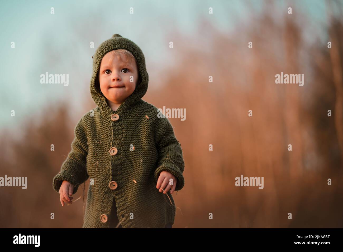 Little curious boy on walk in nature, looking at camera Stock Photo - Alamy