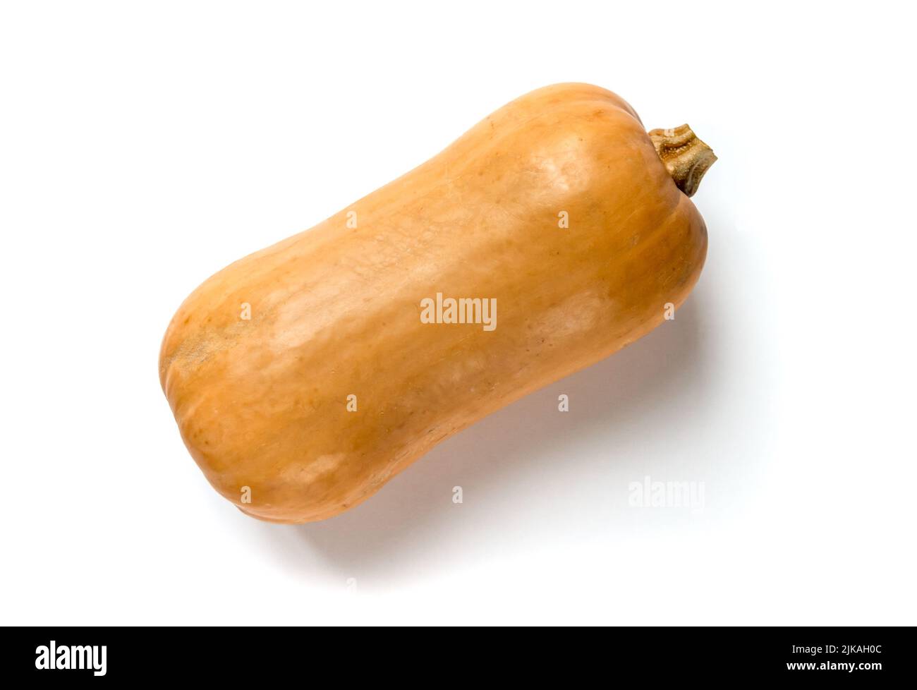 Fresh organic butternut squash isolated on white background Stock Photo ...