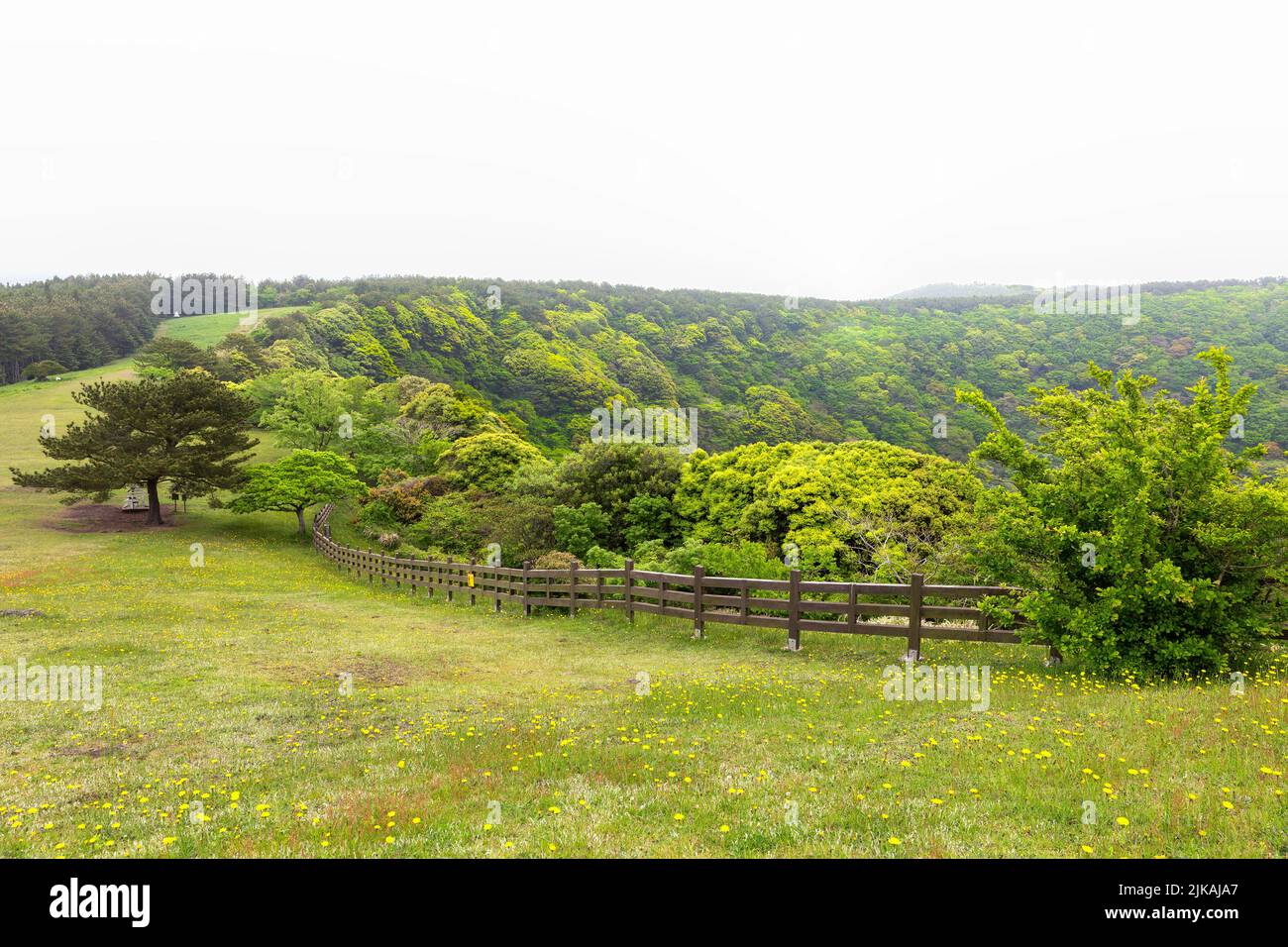 Sangumburi crater scenic landscape in Jeju island, Korea Stock Photo ...