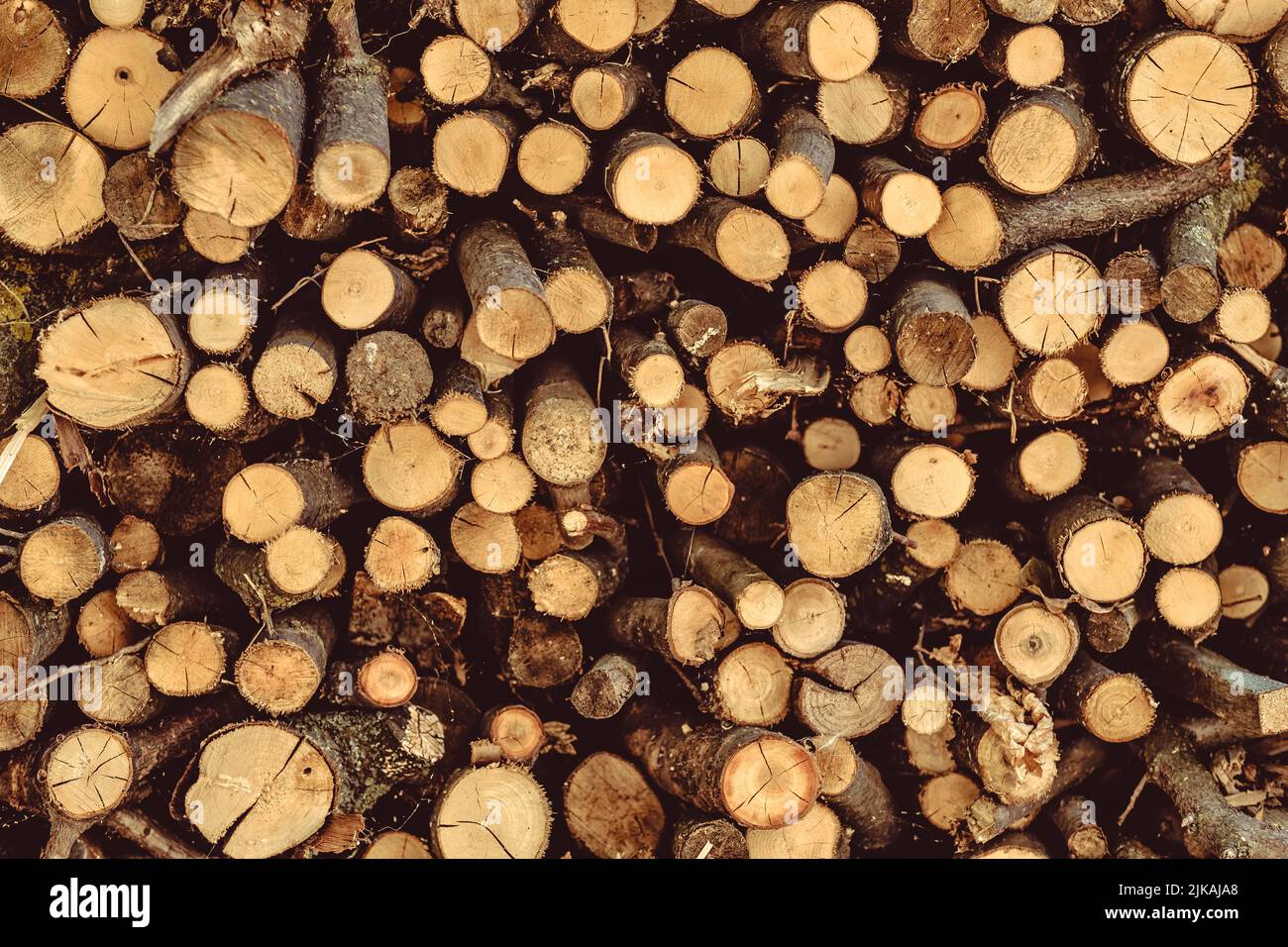 Rough cut lumber hi-res stock photography and images - Alamy