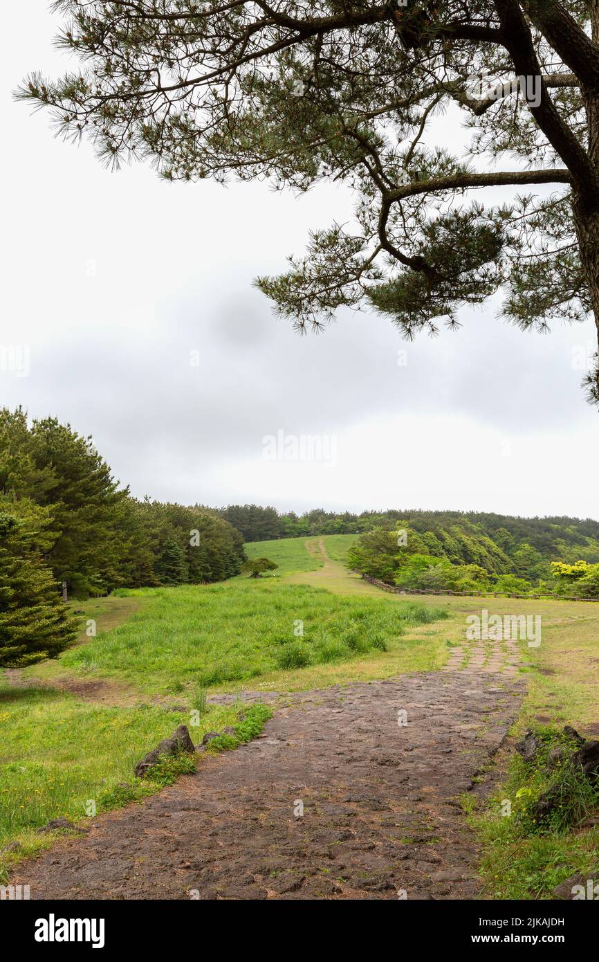 Sangumburi crater scenic landscape in Jeju island, Korea Stock Photo ...