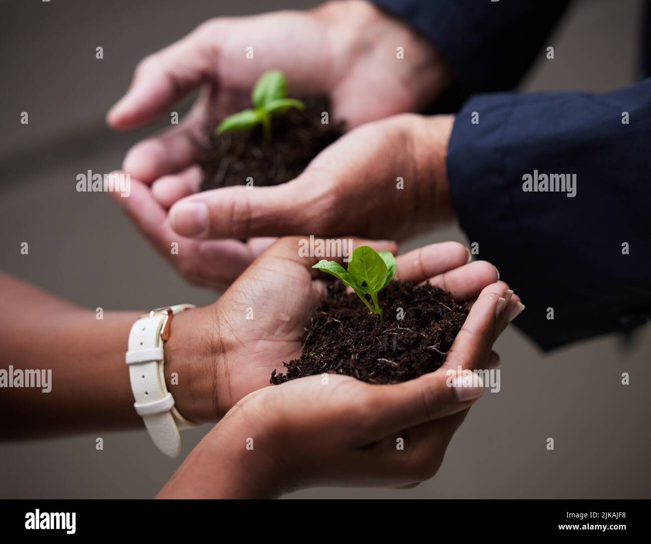 Never stop striving for growth. a group of unrecognizable ...
