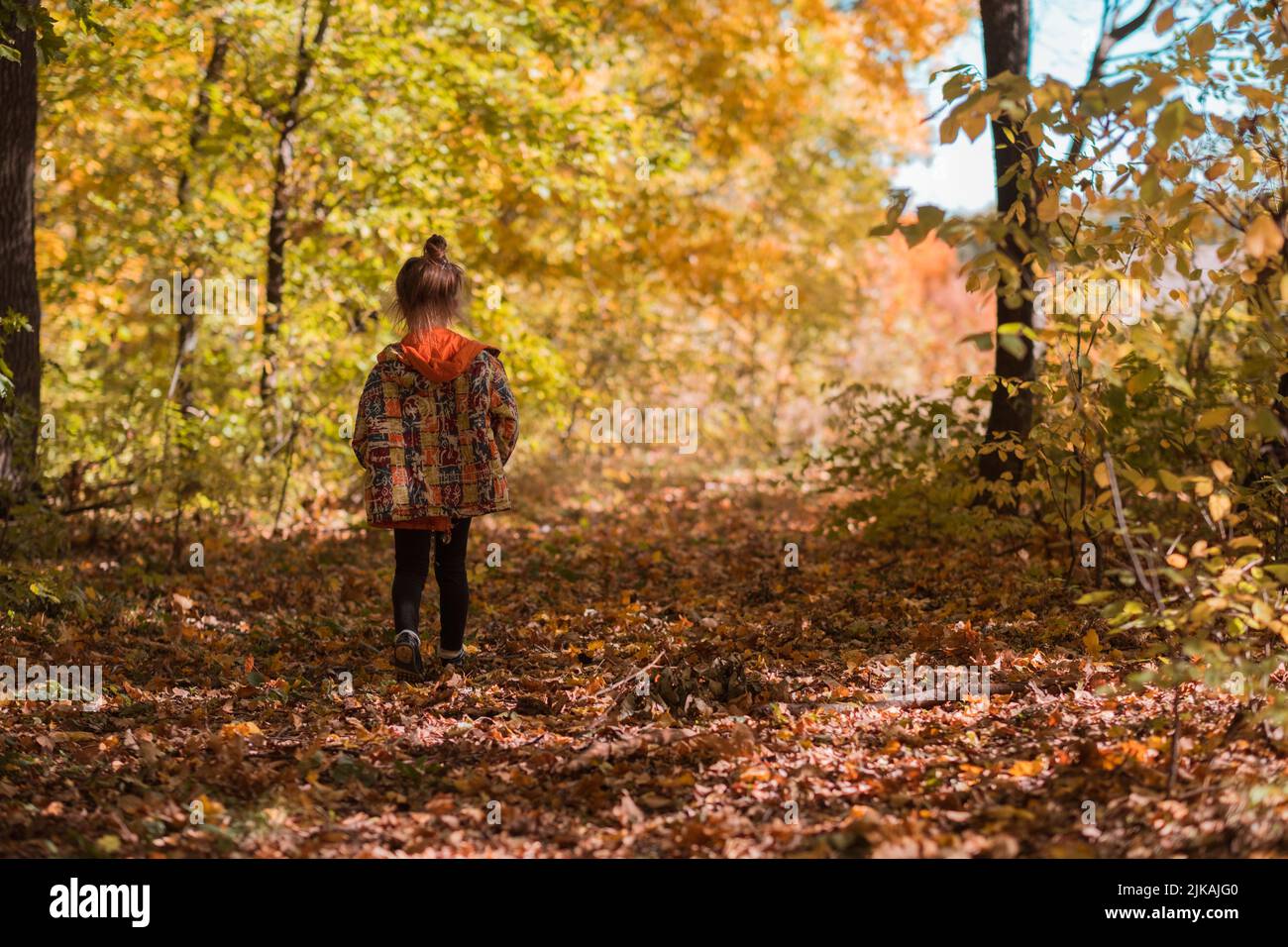 fall nature park girl autumn forest background Stock Photo - Alamy