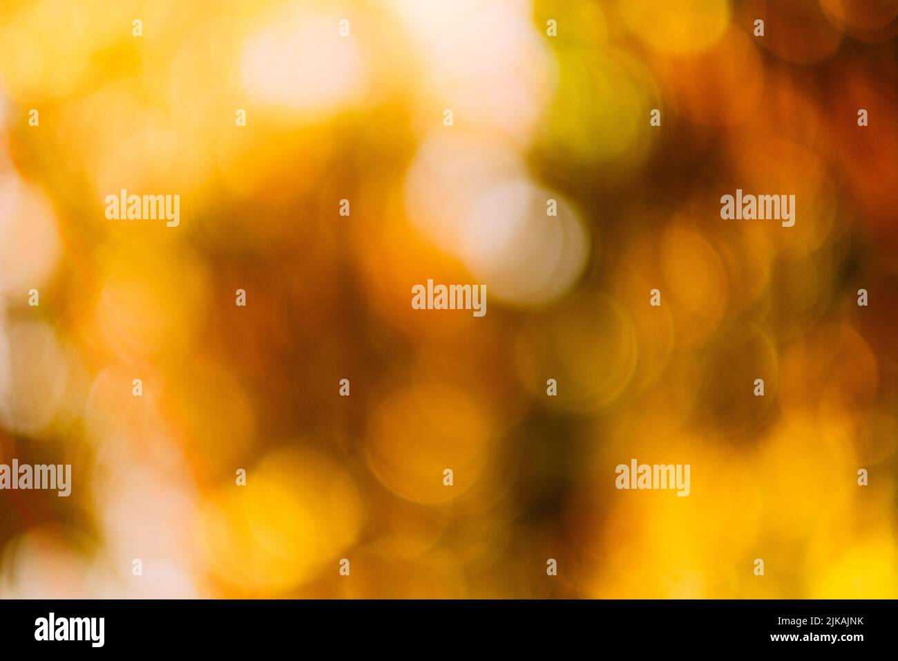 Foliage background hi-res stock photography and images - Alamy