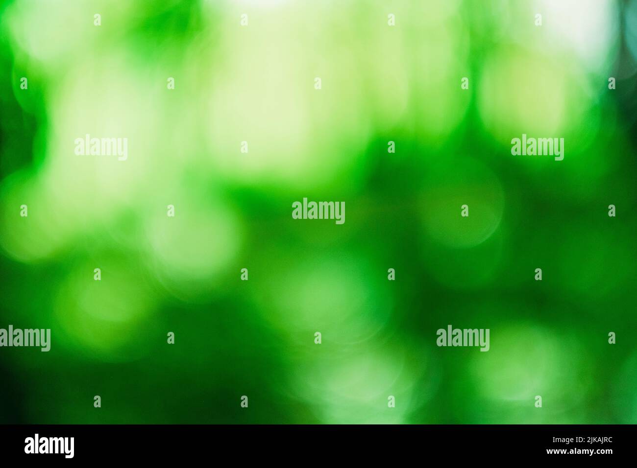 Lights for tree hi-res stock photography and images - Alamy