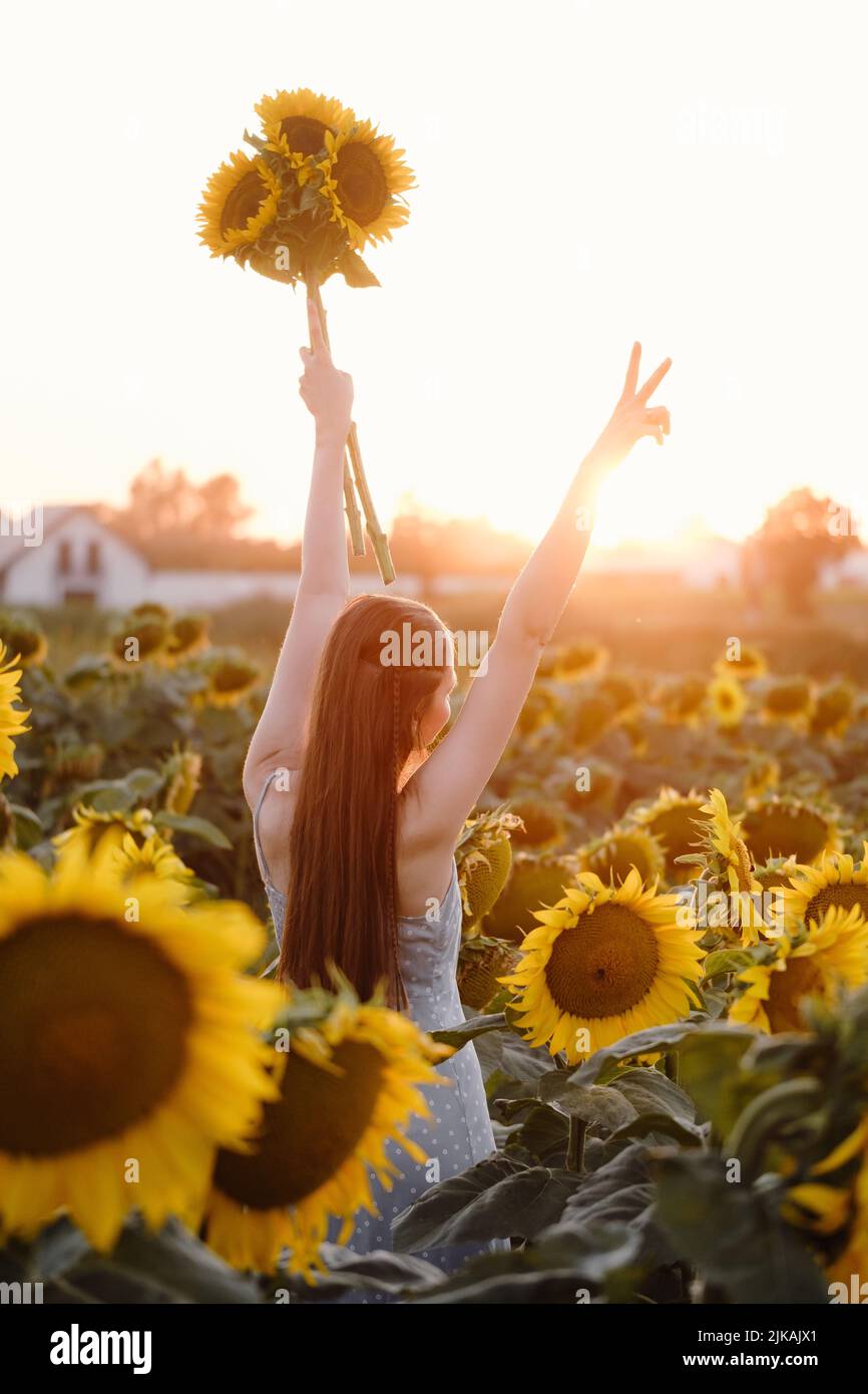 Woman on sunflower field young cheerful person holding hands up in air ...