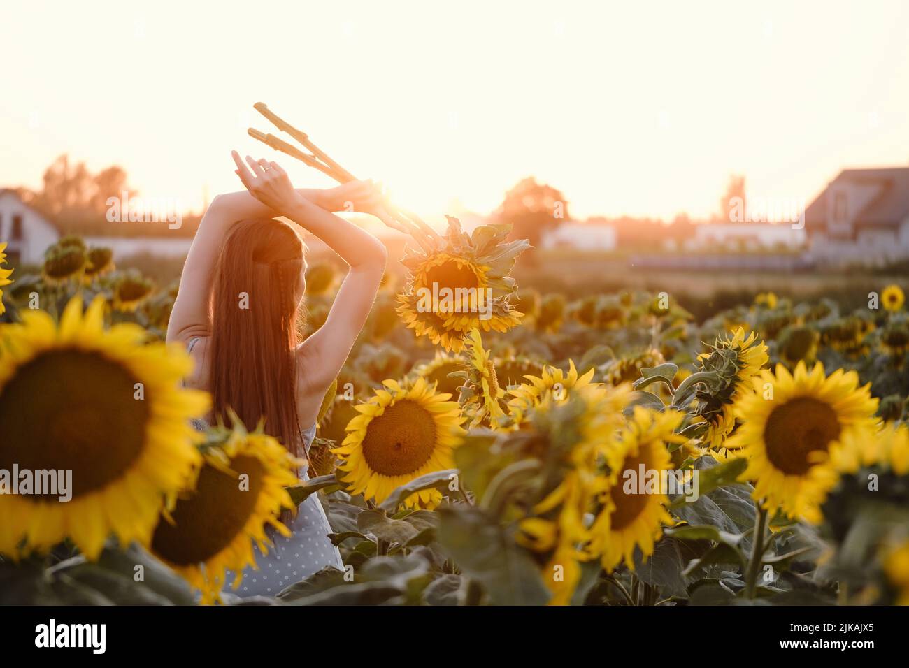 Woman on sunflower field young cheerful person holding hands up in air ...